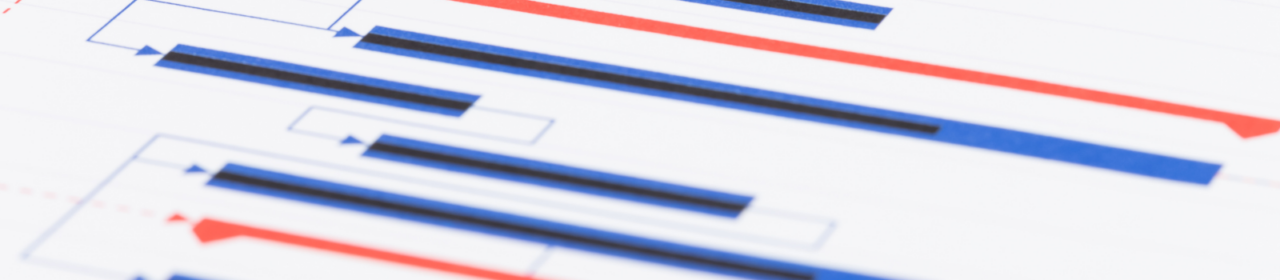 Spotlight on Project Management in Supply Chain - Argentus